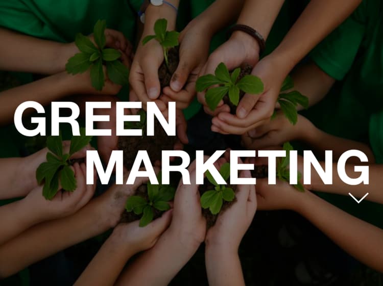Green Marketing là gì? Một số ví dụ về Marketing xanh
